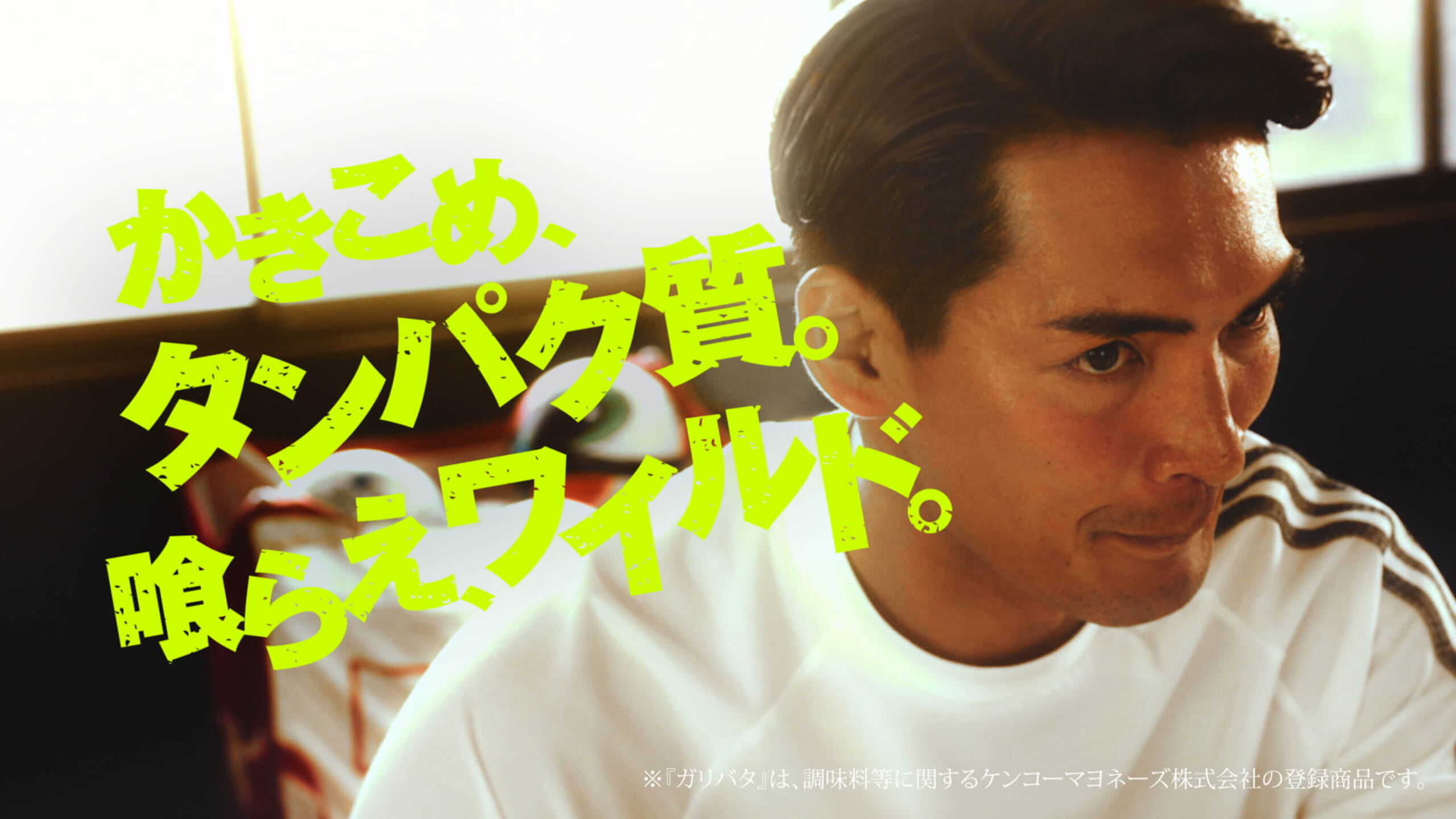 冷凍食品「WIlDishPROTEIN」シリーズ Web CM - Work - TYO